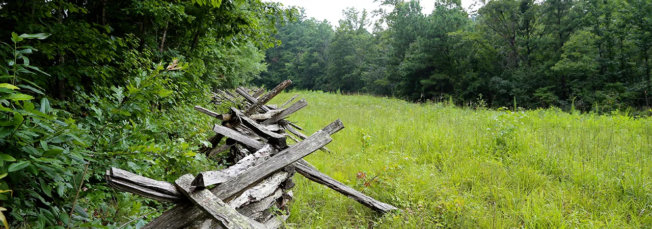 Visit Pickett's Mill Battlefield | American Battlefield Trust