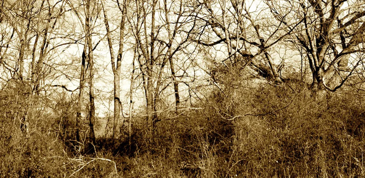 "They Was In There Sure Enough" | American Battlefield Trust