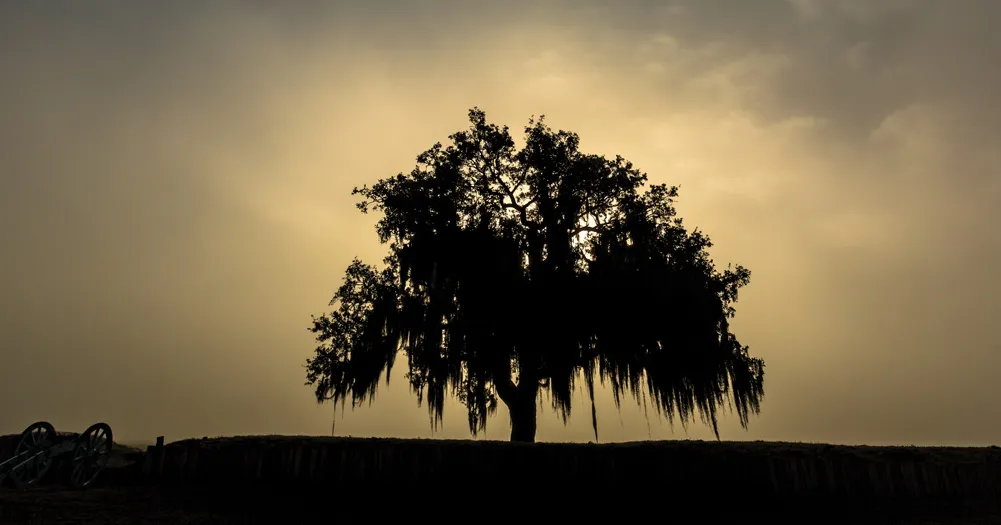 The Battle of Moot | American Battlefield Trust