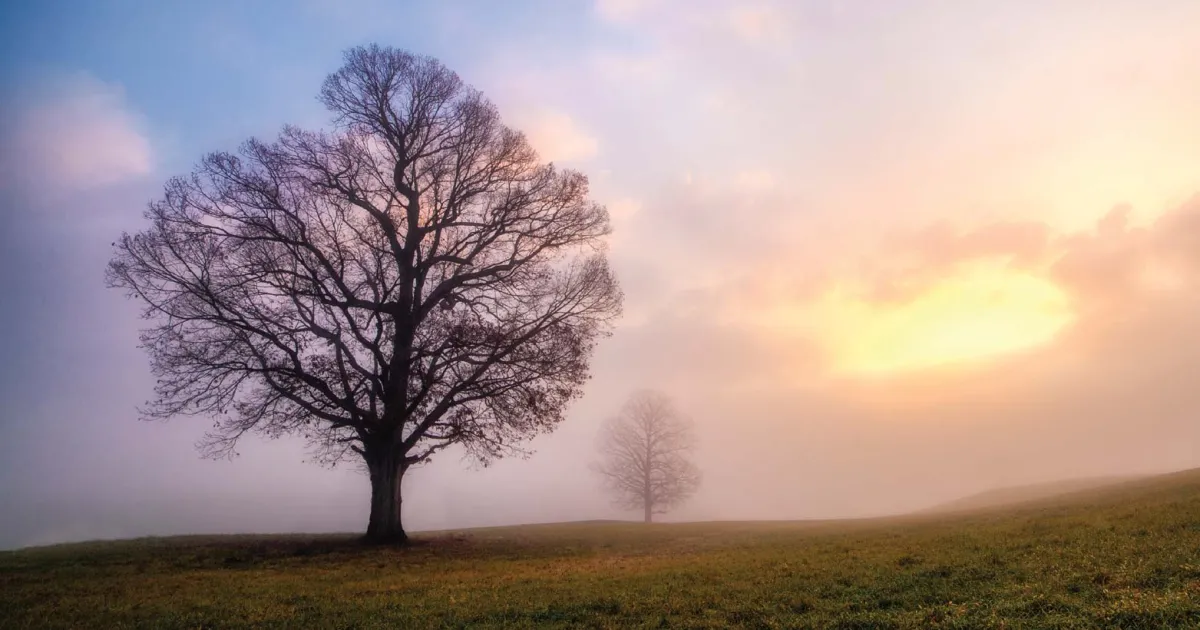 Help Restore Six Sacred Battlefield Sites | American Battlefield Trust