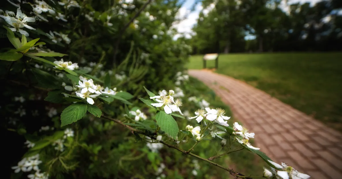 Visit Chantilly Battlefield | American Battlefield Trust