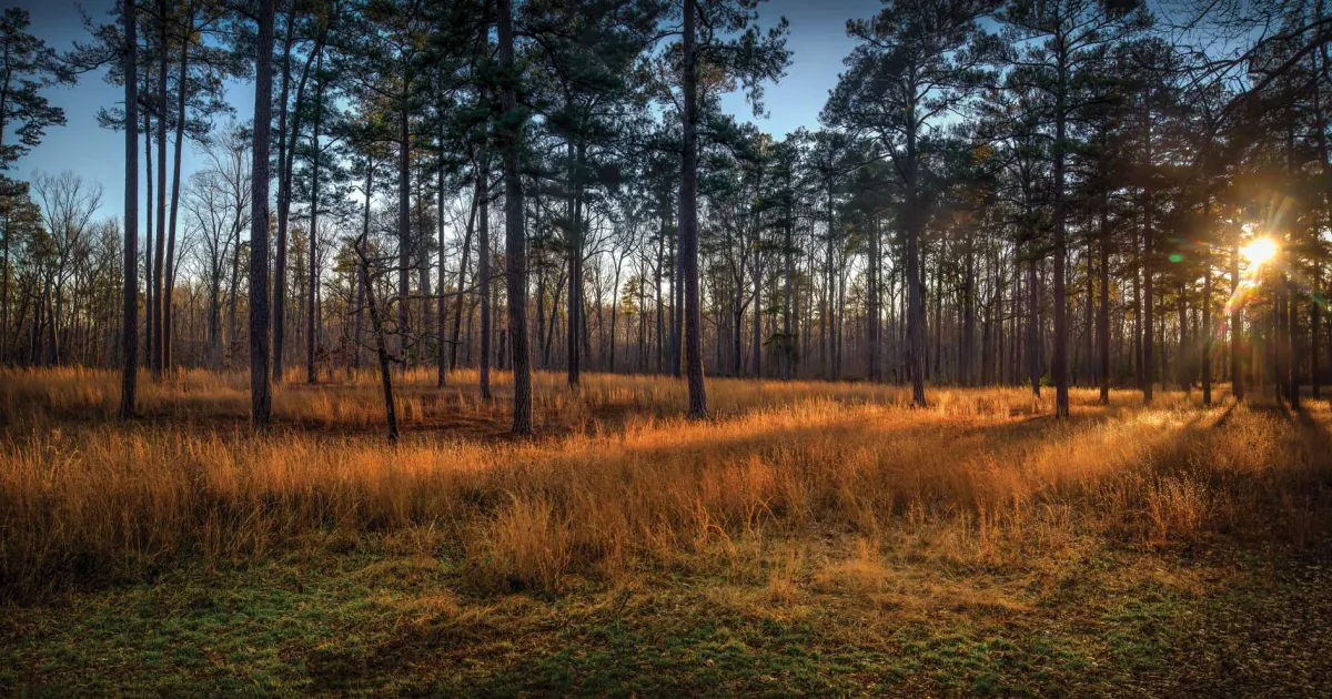 Help Restore History at Gettysburg, Cold Harbor, Slaughter Pen Farm ...