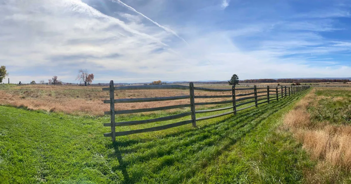 “A Useless Sacrifice” | American Battlefield Trust