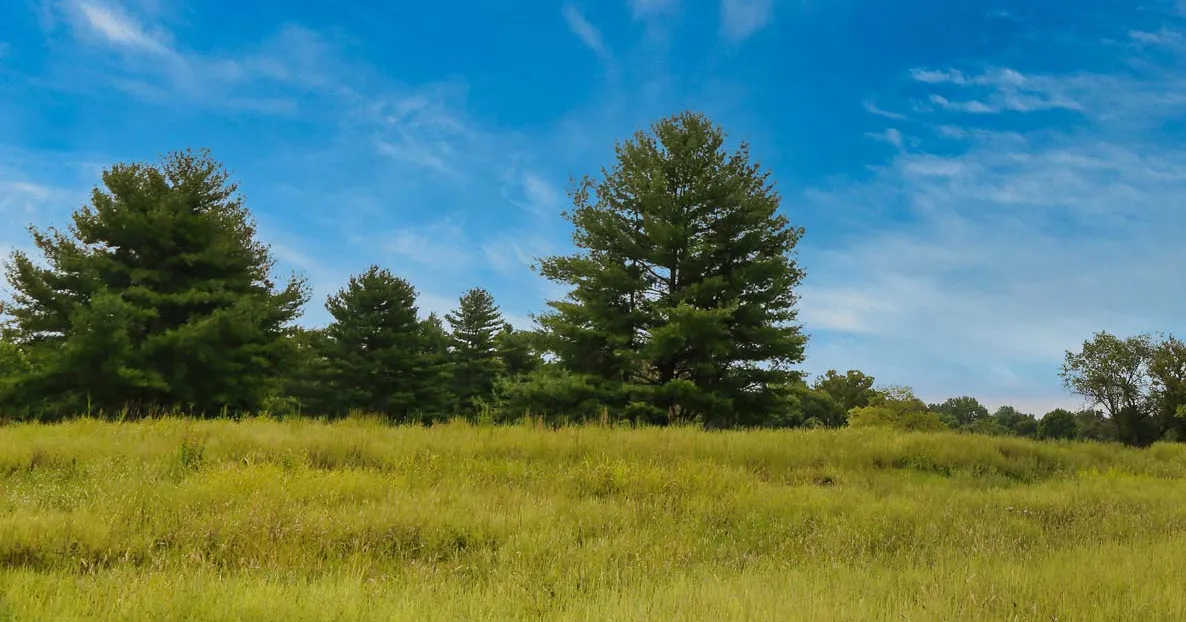 American Battlefield Trust Preserves Two Properties on the Franklin ...