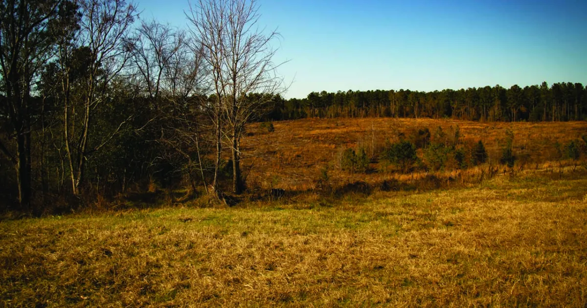 The Expansion of Kettle Creek Battlefield | American Battlefield Trust