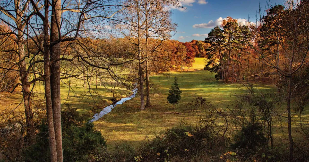 Hunting for Loyalists | American Battlefield Trust