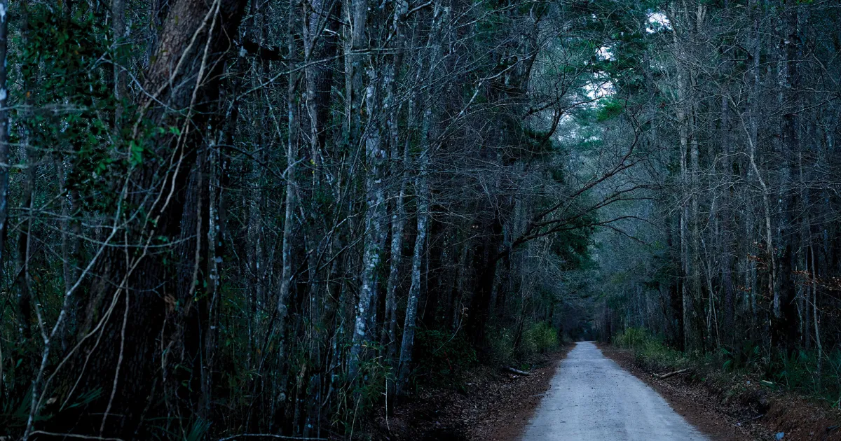 Ambush: Francis Marion and the Art of Guerrilla Warfare | American ...