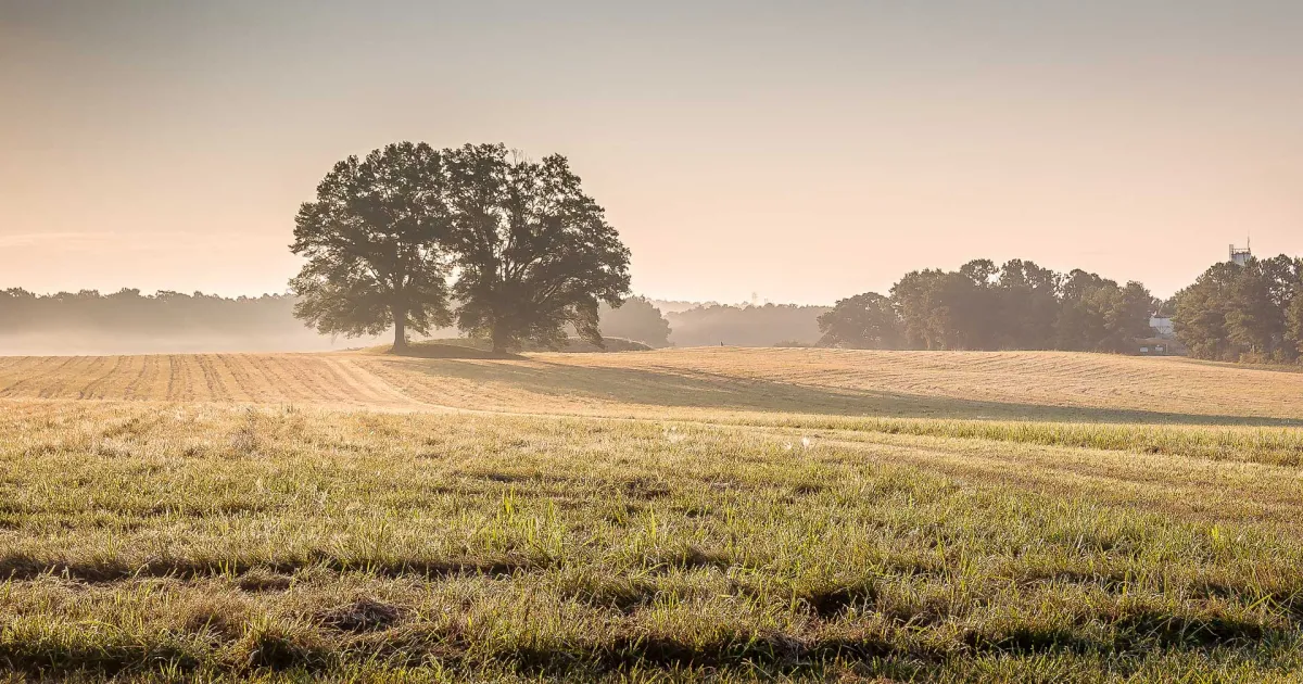 Preserve 85 Acres Across Four Remarkable Battlefields & More ...
