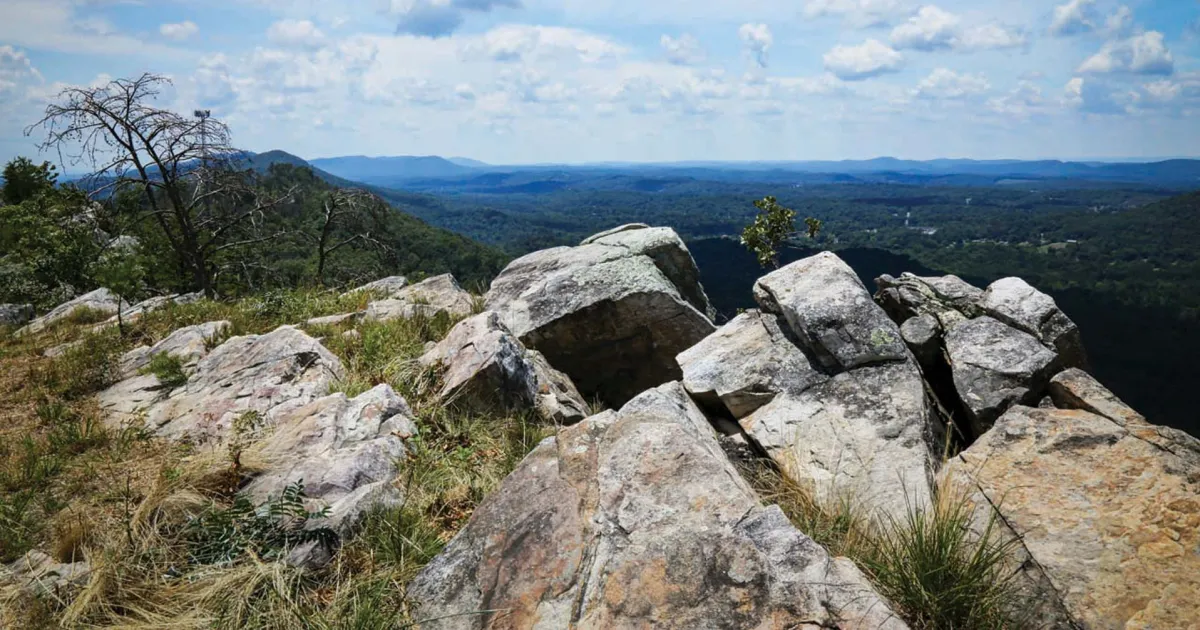Profiles in Preservation: Georgia Battlefields Association | American ...