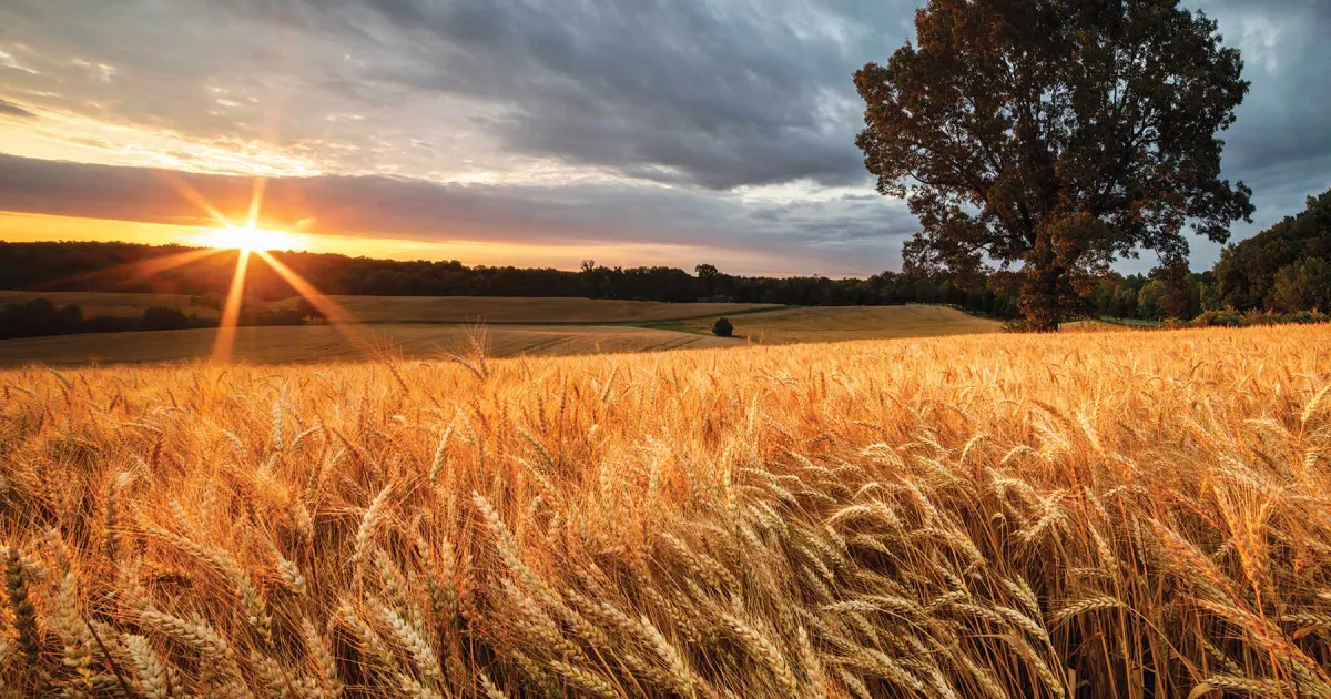 Help Hold the Line Against Emerging Battlefield Threats | American Battlefield Trust