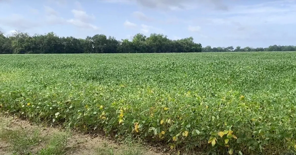 Preserve 1,099 Acres of Hallowed Ground | American Battlefield Trust