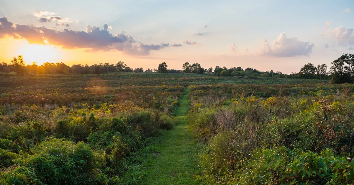 Make Some History This Weekend in Lexington | American Battlefield Trust