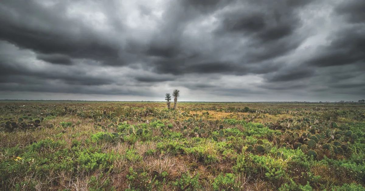 Palmito Ranch Battle Facts and Summary | American Battlefield Trust