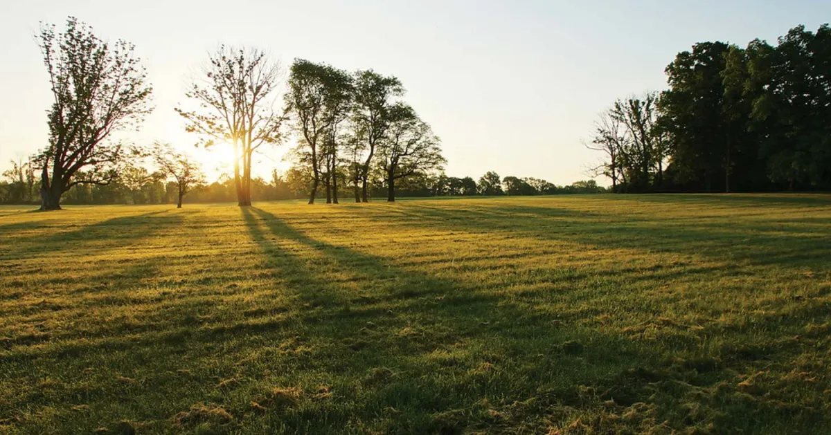 Help Save Princeton: The Battle that Saved the Revolution | American ...