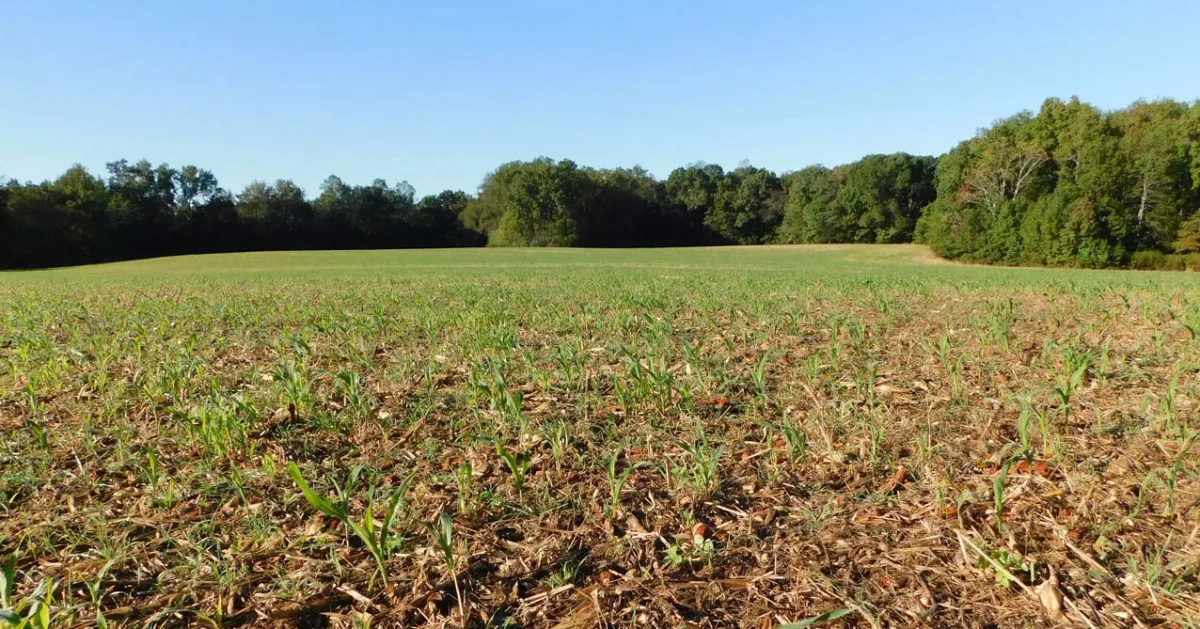 The Trust Preserves Over 50 Acres of the Second Deep Bottom Battlefield ...
