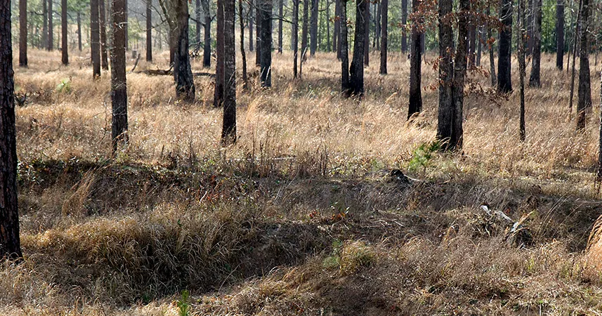Visit Fort Blakeley Battlefield | American Battlefield Trust