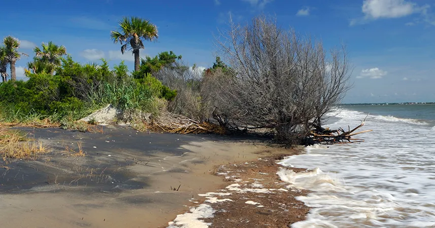 Visit Fort Wagner Battlefield | American Battlefield Trust