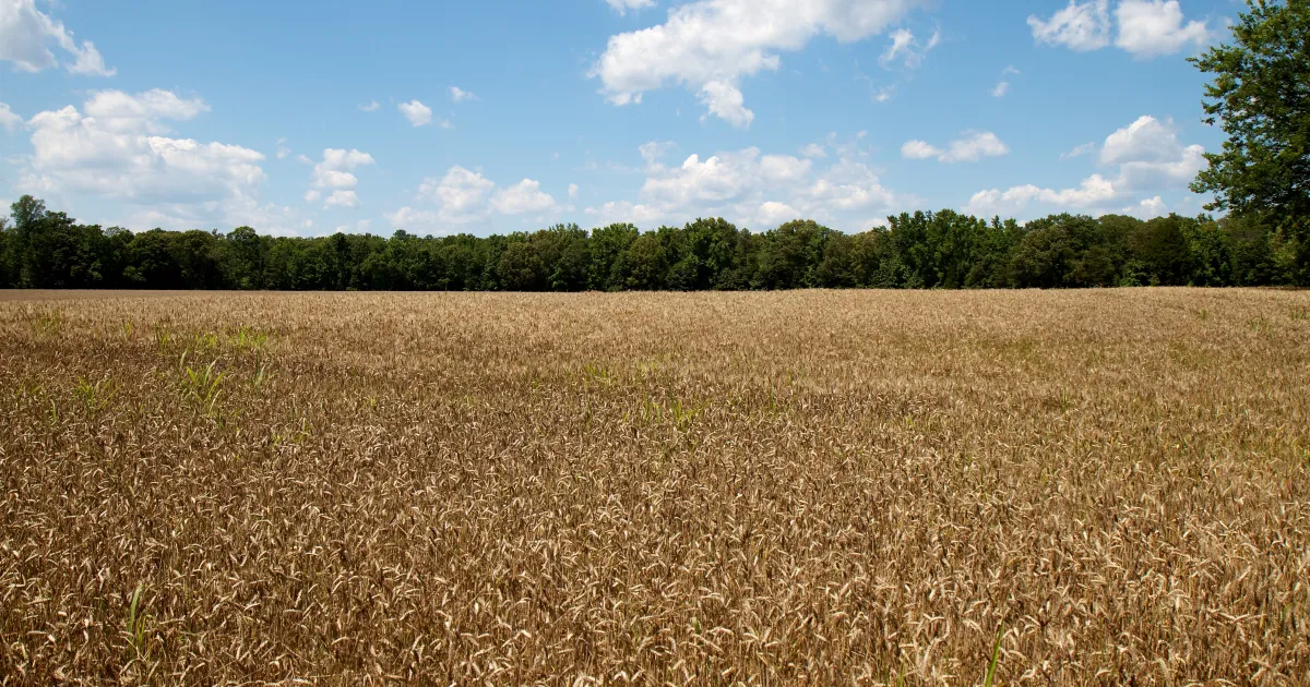 Glendale Battle Facts and Summary | American Battlefield Trust