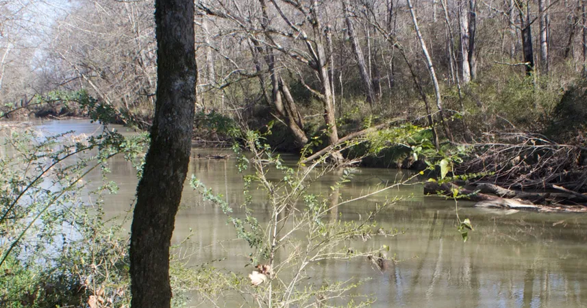 The Fight at Reed's Bridge | American Battlefield Trust
