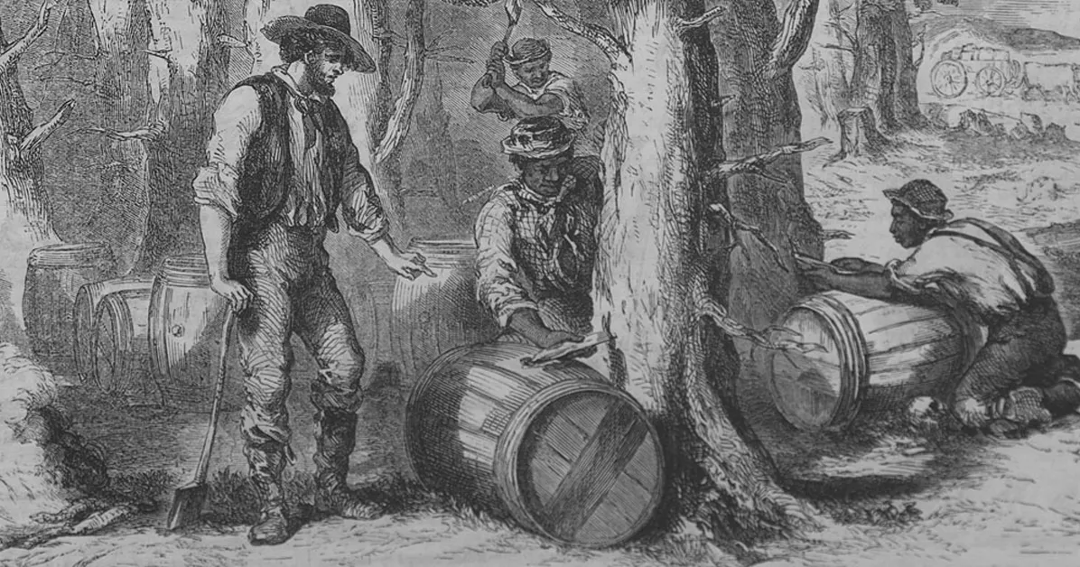 colonisation slavery