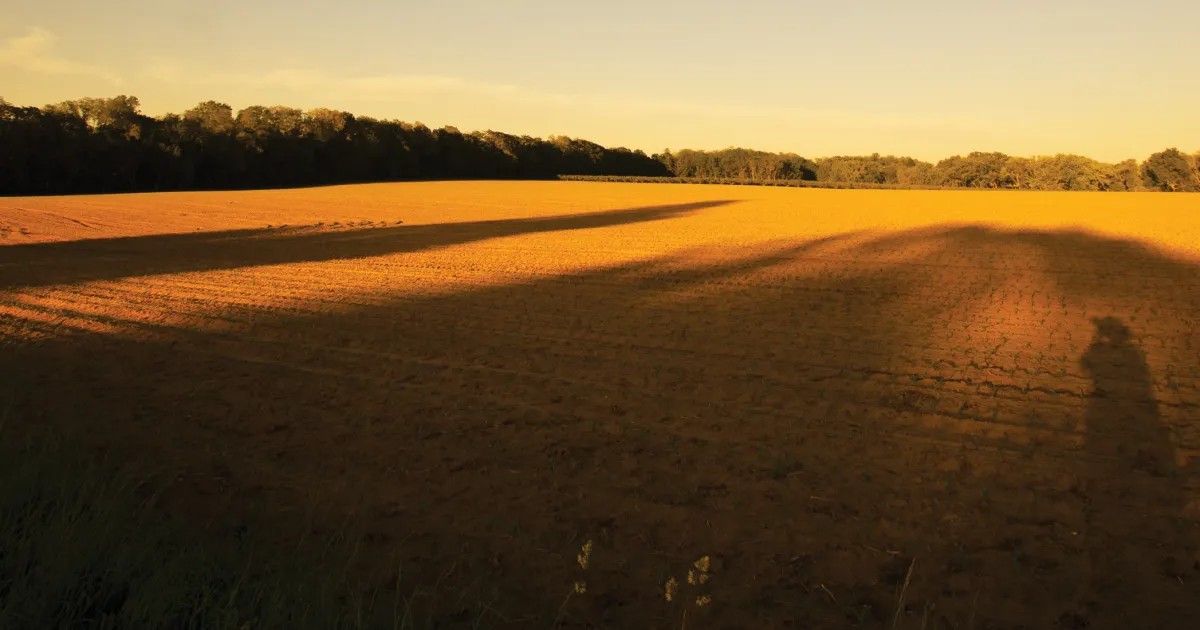 Visit Monmouth | American Battlefield Trust