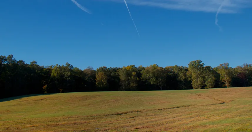 Visit The Wilderness Battlefield | American Battlefield Trust