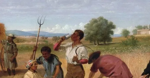 Slavery in the Colonies: The British Position on Slavery in the Era of ...