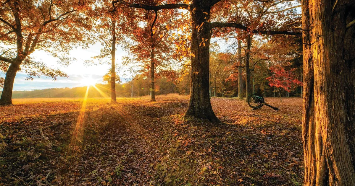 The Wilderness Battle Facts and Summary | American Battlefield Trust
