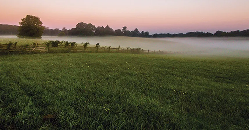 Battle of Brandywine Virtual Tour | American Battlefield Trust