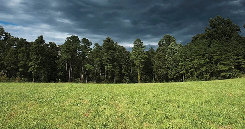Cold Harbor Virtual Tour | American Battlefield Trust