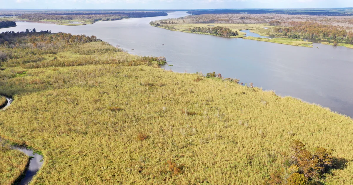 Saved: 60 Acres at Fort Blakeley | American Battlefield Trust
