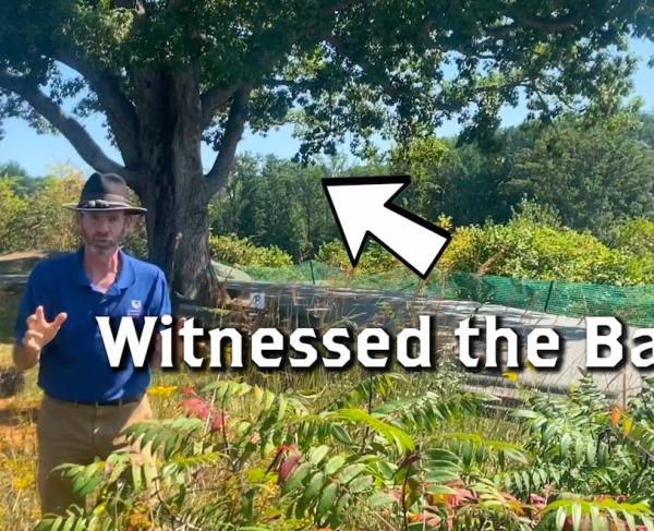 Culp's Hill Rock that Witnessed Gettysburg | American Battlefield Trust