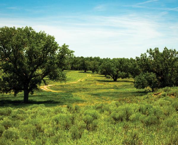 Sand Creek Battle Facts and Summary | American Battlefield Trust