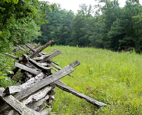 Pickett's Mill Battle Facts and Summary | American Battlefield Trust