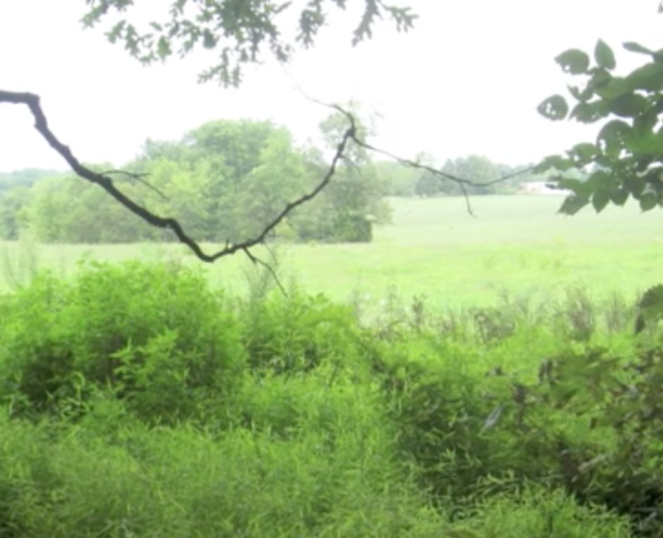 Mine Run Battle Facts and Summary | American Battlefield Trust