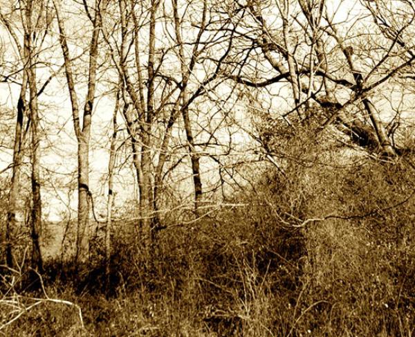 Spring Hill Battle Facts and Summary | American Battlefield Trust