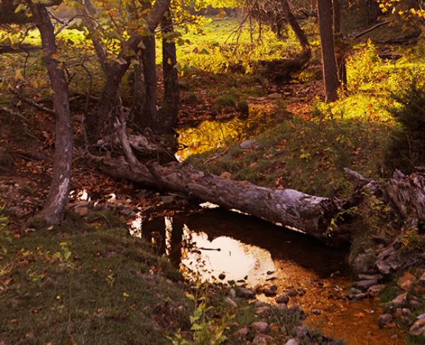 Tom's Brook Battle Facts and Summary | American Battlefield Trust