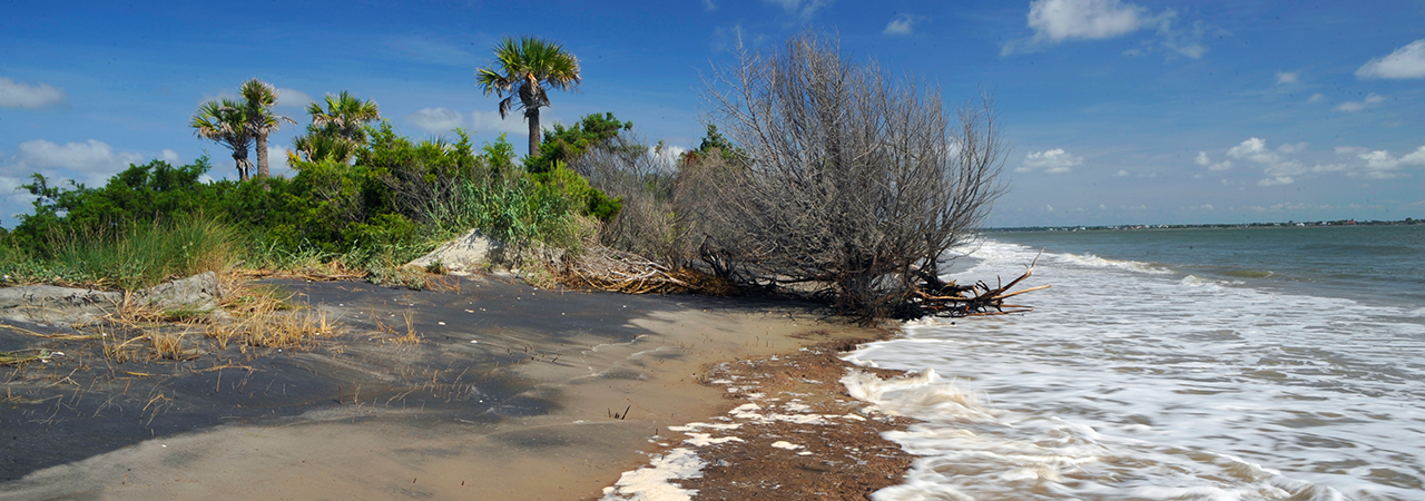 Fort Wagner Battlefield | American Battlefield Trust