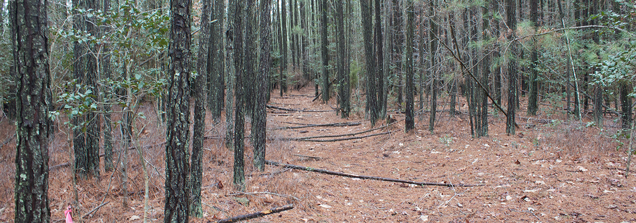 Glendale Battlefield | American Battlefield Trust